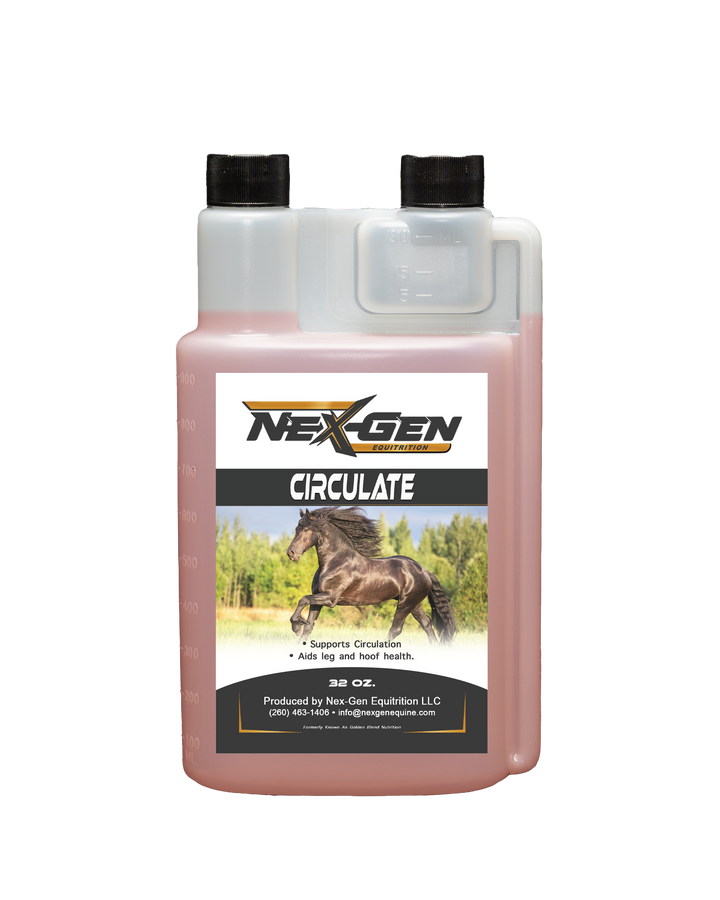 Nex-Gen Equine – Nex-Gen Equitrition