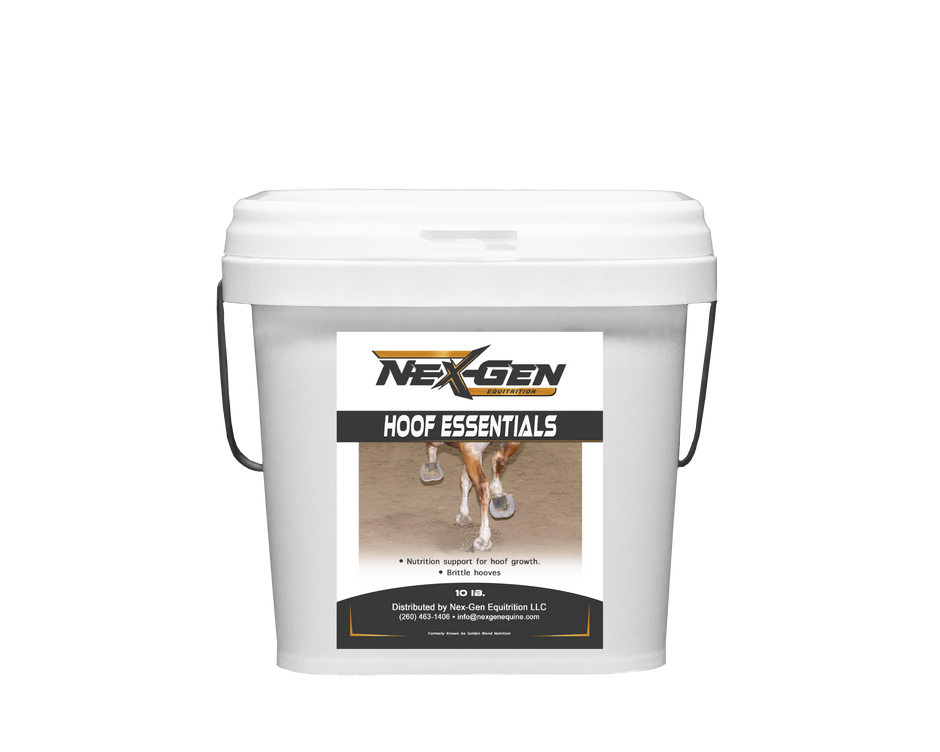 Show Season – Nex-Gen Equitrition