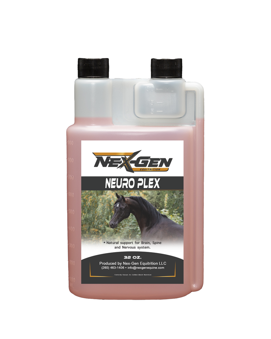 Muscles – Nex-Gen Equitrition