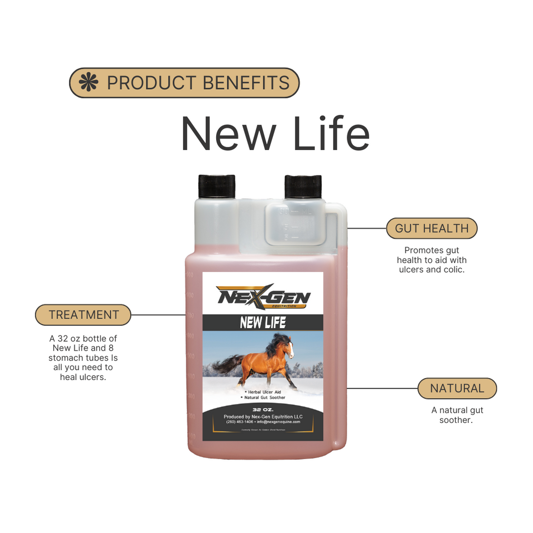 Nex-Gen Equine – Nex-Gen Equitrition